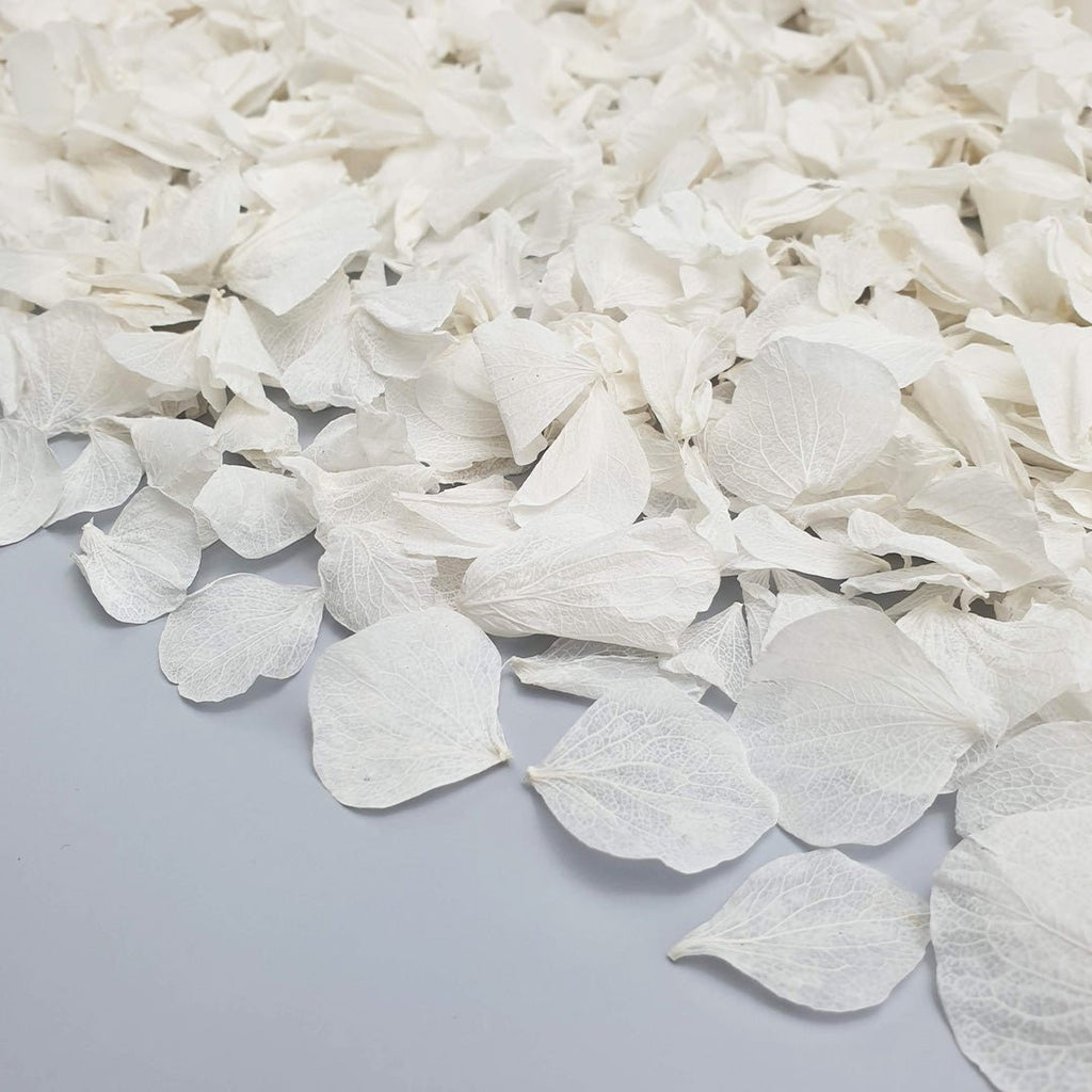 100% Biodegradable Wedding Confetti from Confetti Bee - Natural Petals