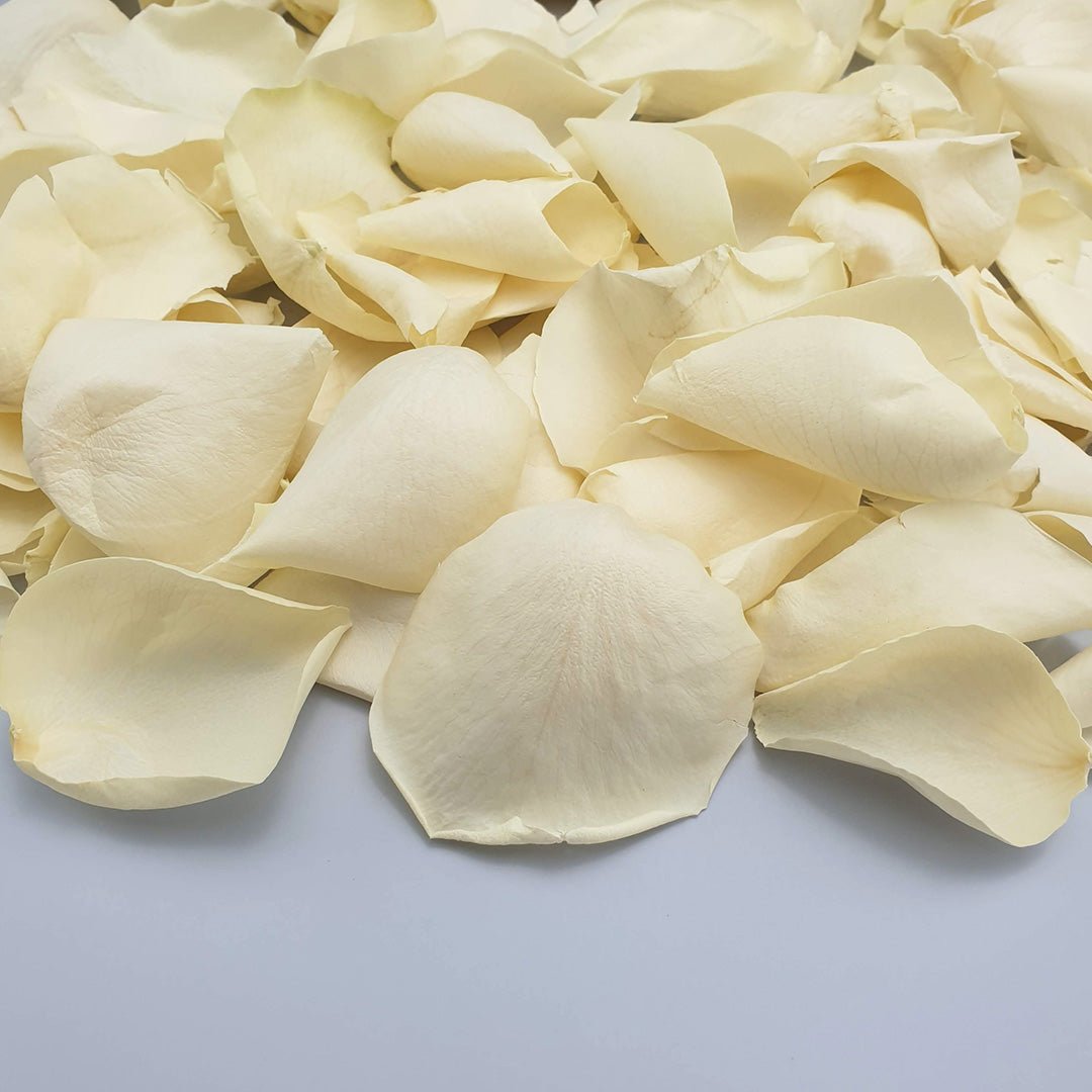 Using Real Confetti Petals as Wedding Decoration – Confetti Bee