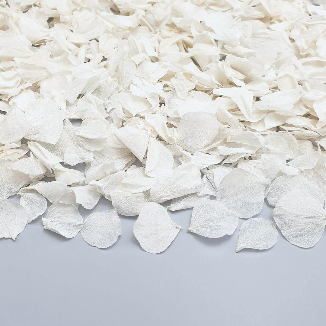 Why we love white confetti for weddings in 2024 – Confetti Bee