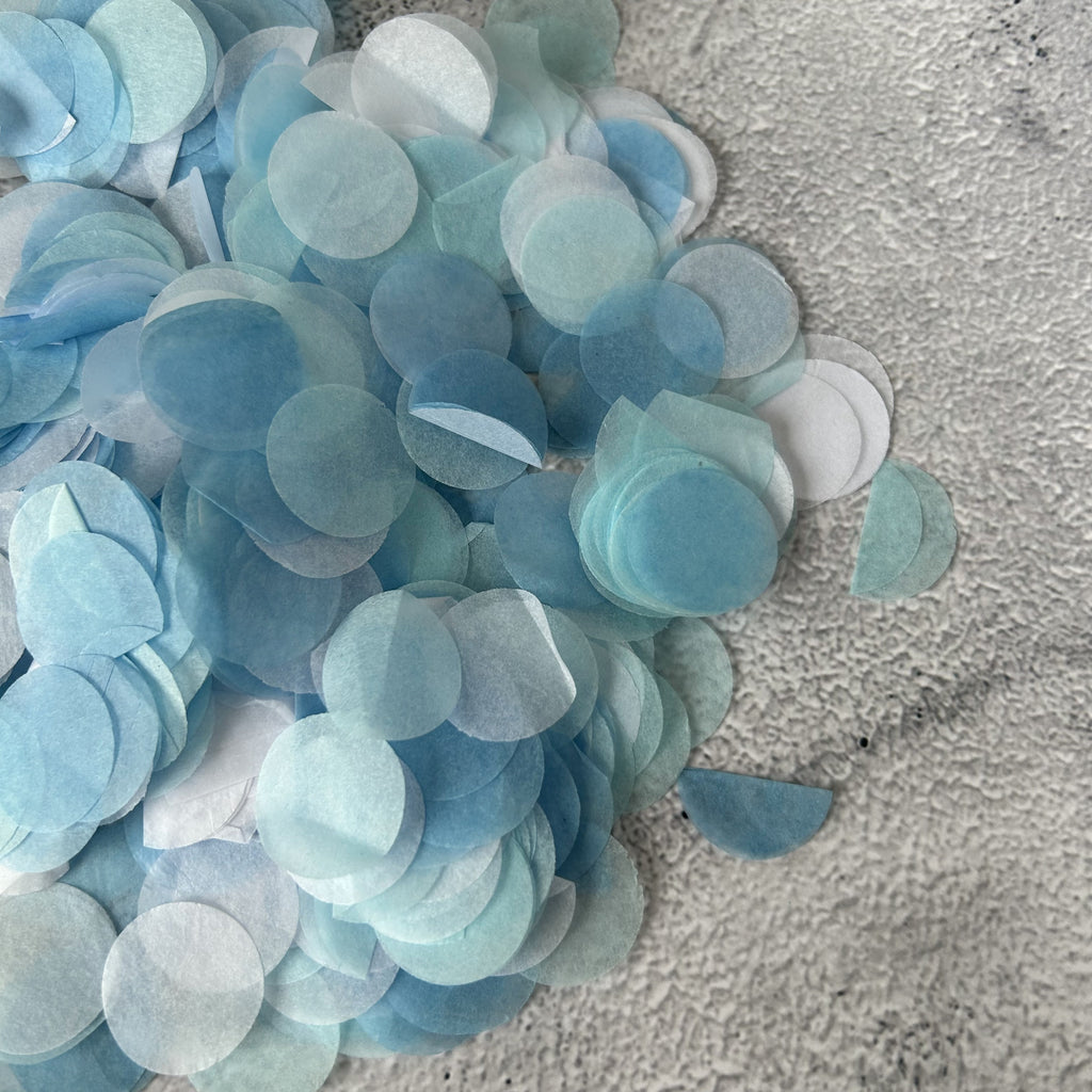 Blue & White Paper Confetti | Biodegradable Paper Confetti | Confetti Bee