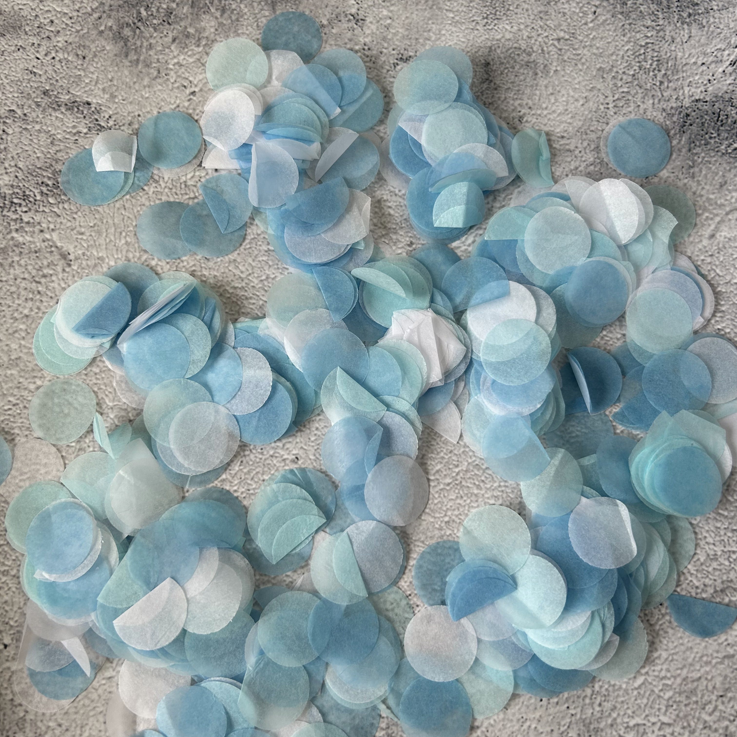 Blue & White Paper Confetti | Biodegradable Paper Confetti | Confetti Bee