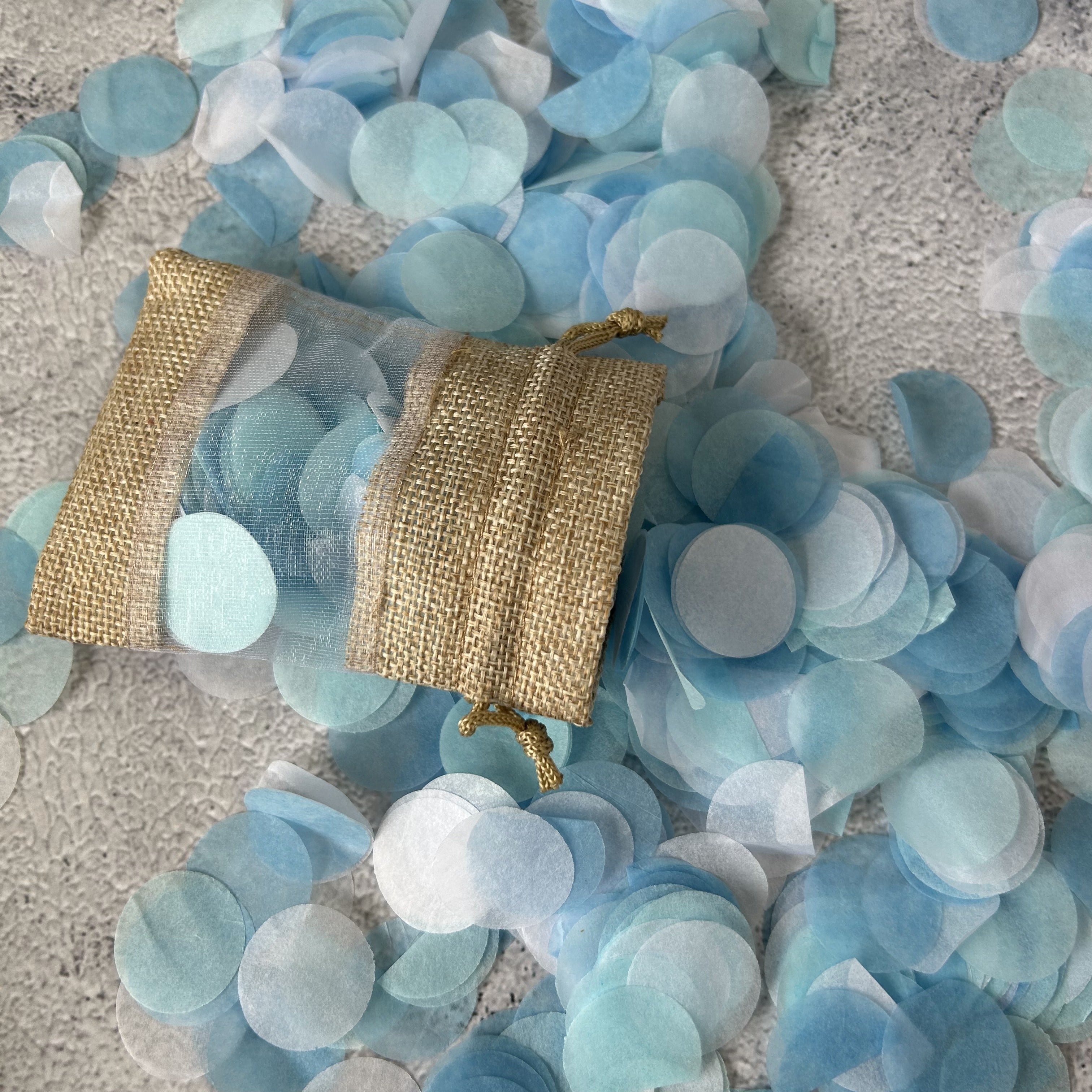 Blue & White Paper Confetti | Biodegradable Paper Confetti | Confetti Bee
