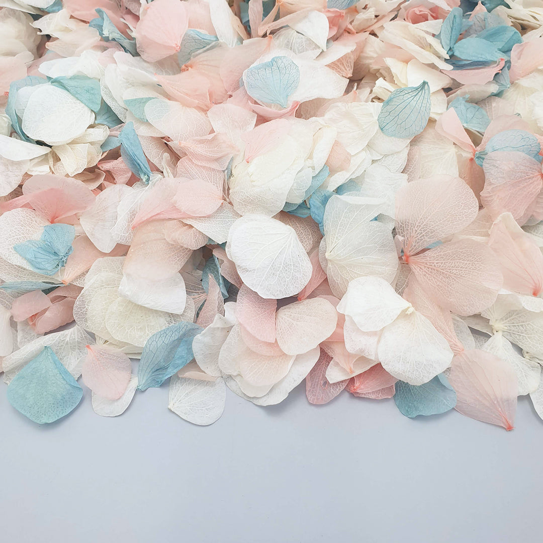 Lisa Confetti | Biodegradable Wedding Confetti | Confetti Bee