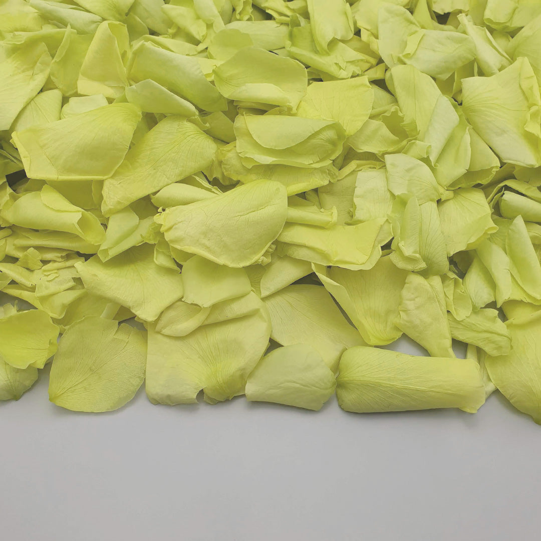 Soft Green Rose Petals Confetti | Wedding Confetti | Confetti Bee