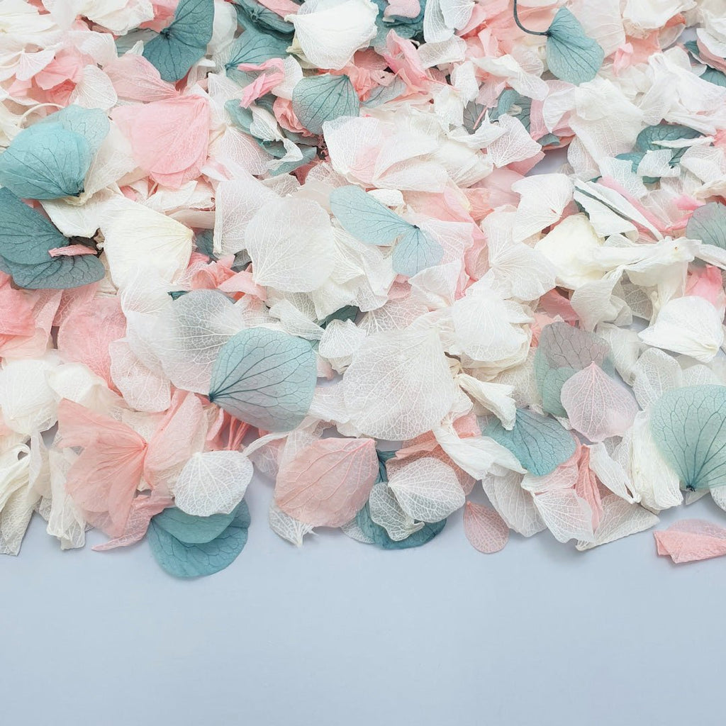 100% Biodegradable Wedding Confetti from Confetti Bee - Natural Petals