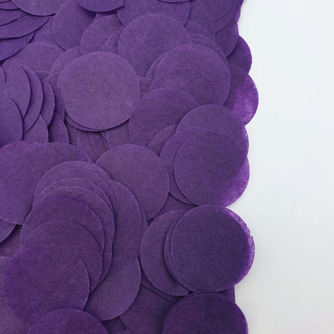 Purple Paper Confetti | Biodegradable Paper Confetti | Confetti Bee