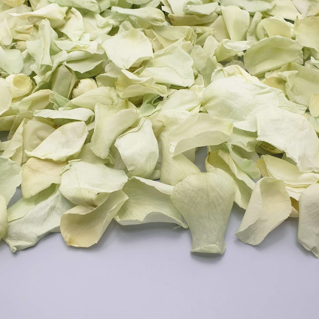 Soft Green Rose Petals Confetti | Wedding Confetti | Confetti Bee