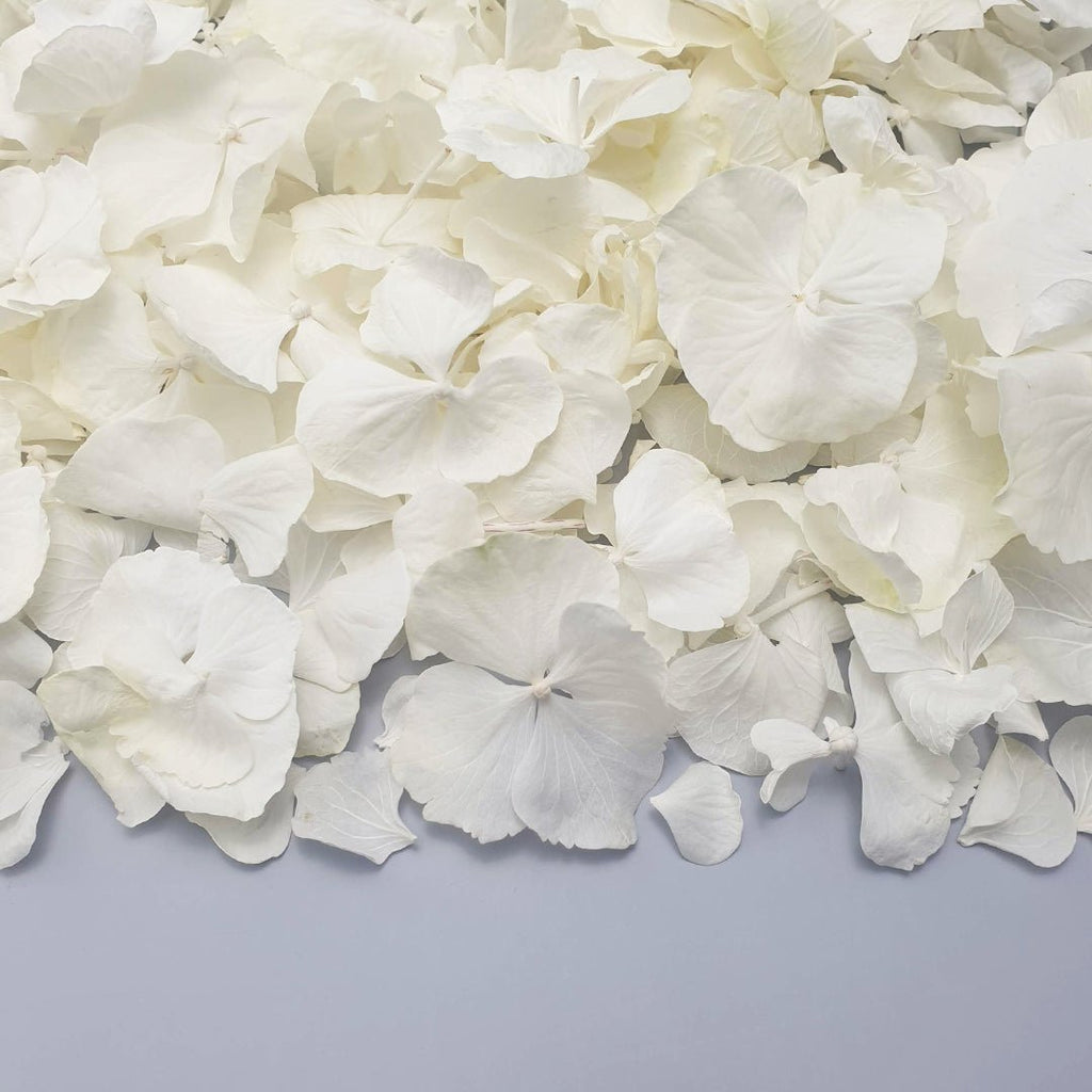 White Biodegradable Wedding Confetti | White Confetti from Confetti Bee