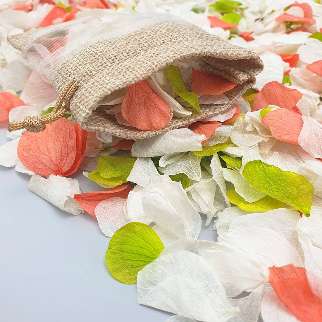 Agua Fresca Confetti | Natural Wedding Confetti | Confetti Bee