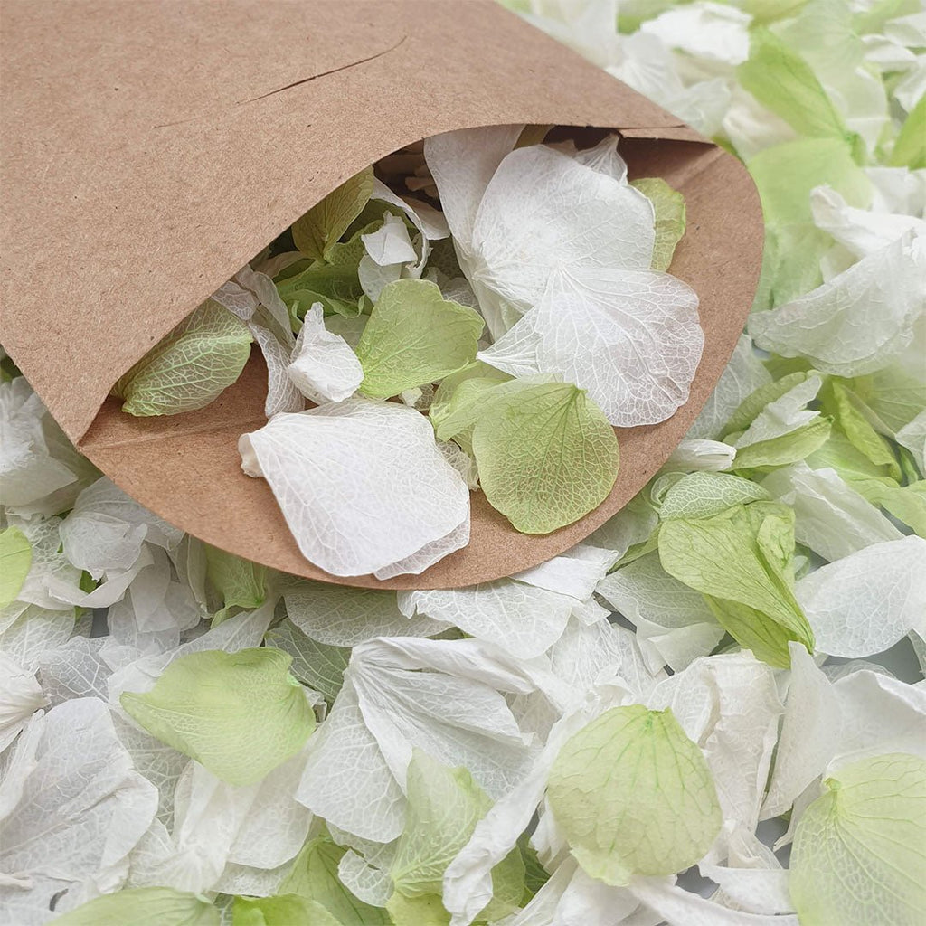 Apple Blossom Confetti | Natural Wedding Confetti | Confetti Bee