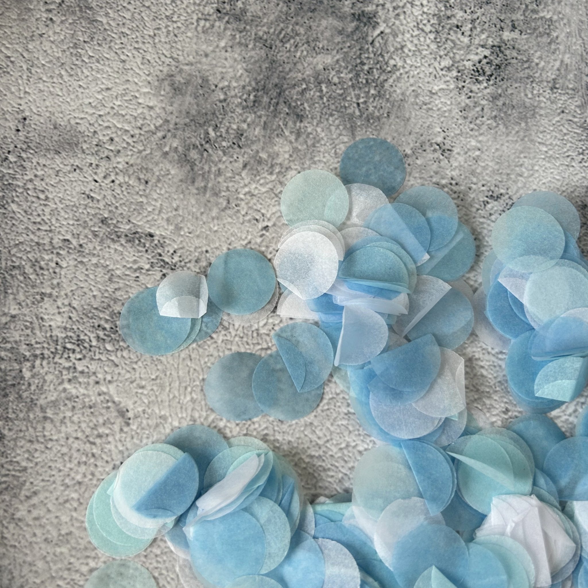 Blue & White Paper Confetti | Biodegradable Paper Confetti | Confetti Bee