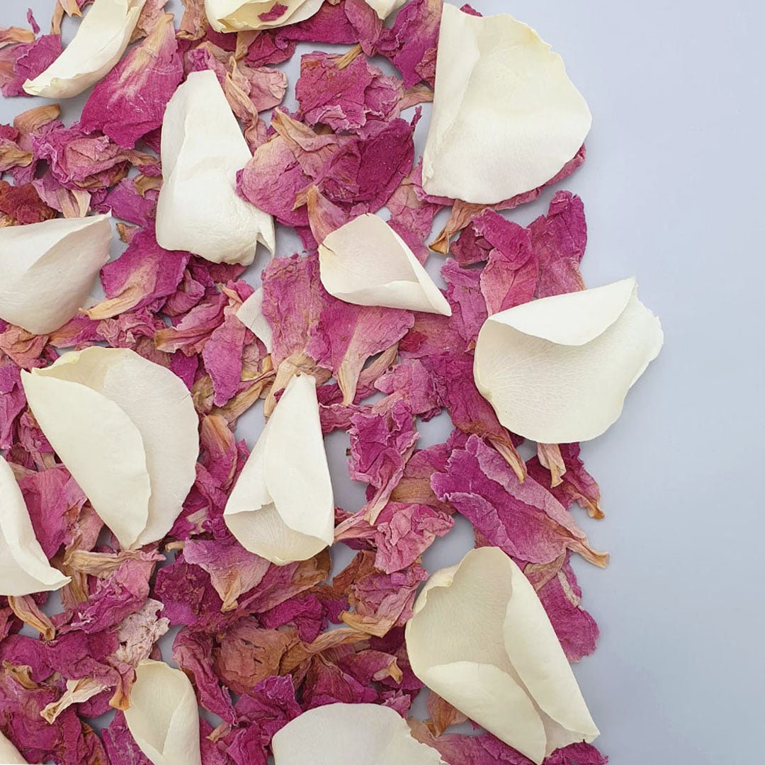 Blush Whisper Confetti | Petal Wedding Confetti | Confetti Bee