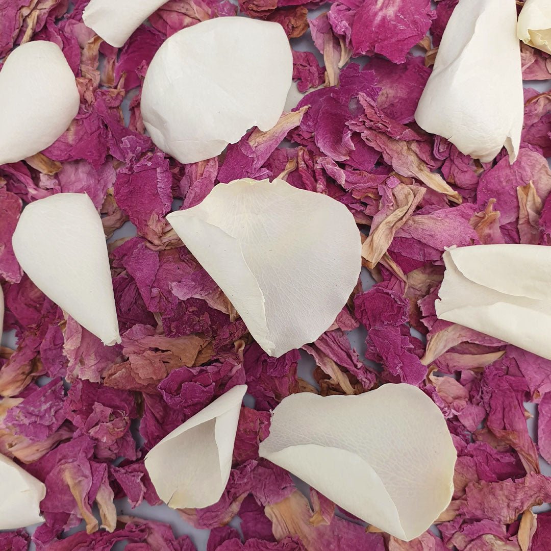 Blush Whisper Confetti | Petal Wedding Confetti | Confetti Bee