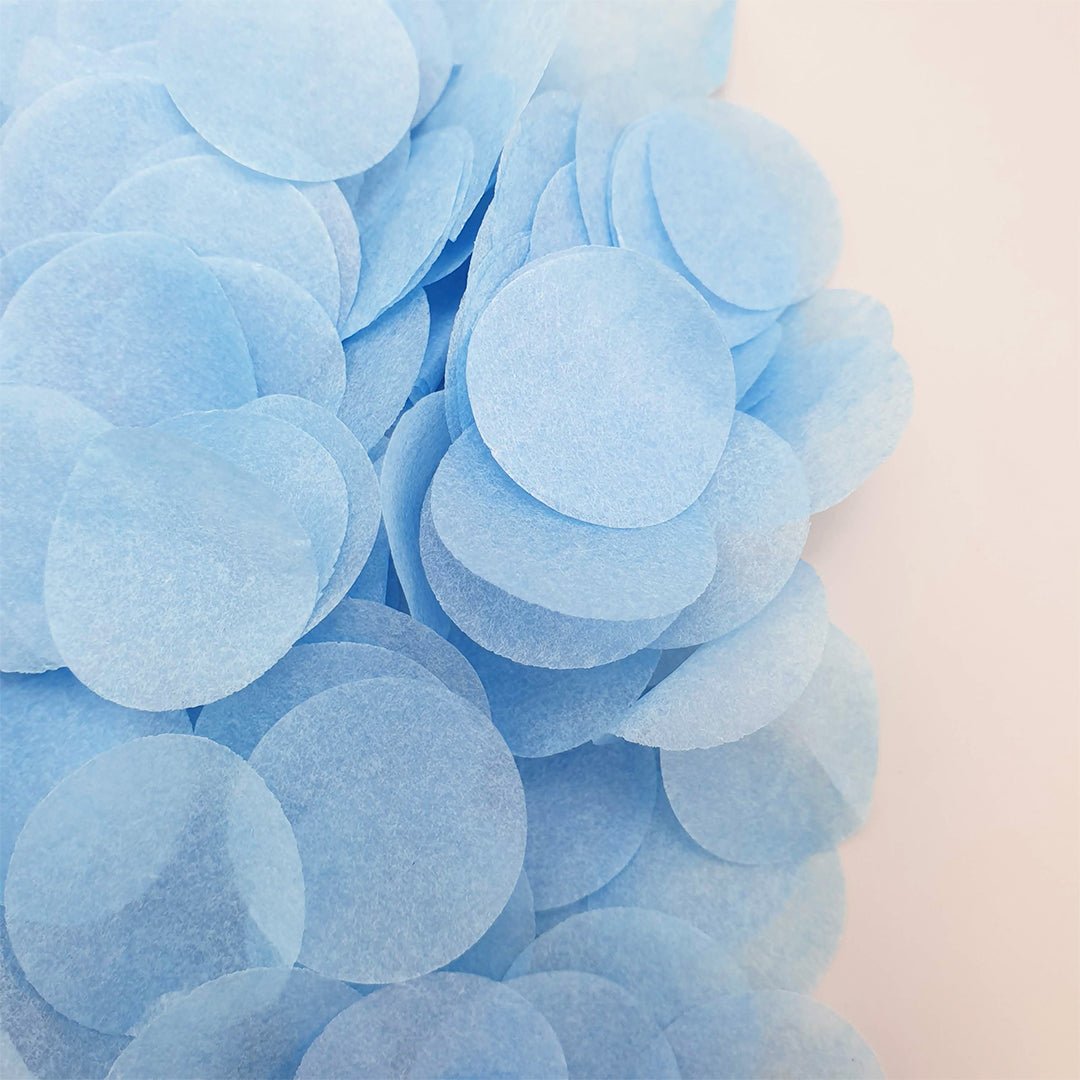 Dusty Blue Paper Confetti | Biodegradable Paper Confetti | Confetti Bee
