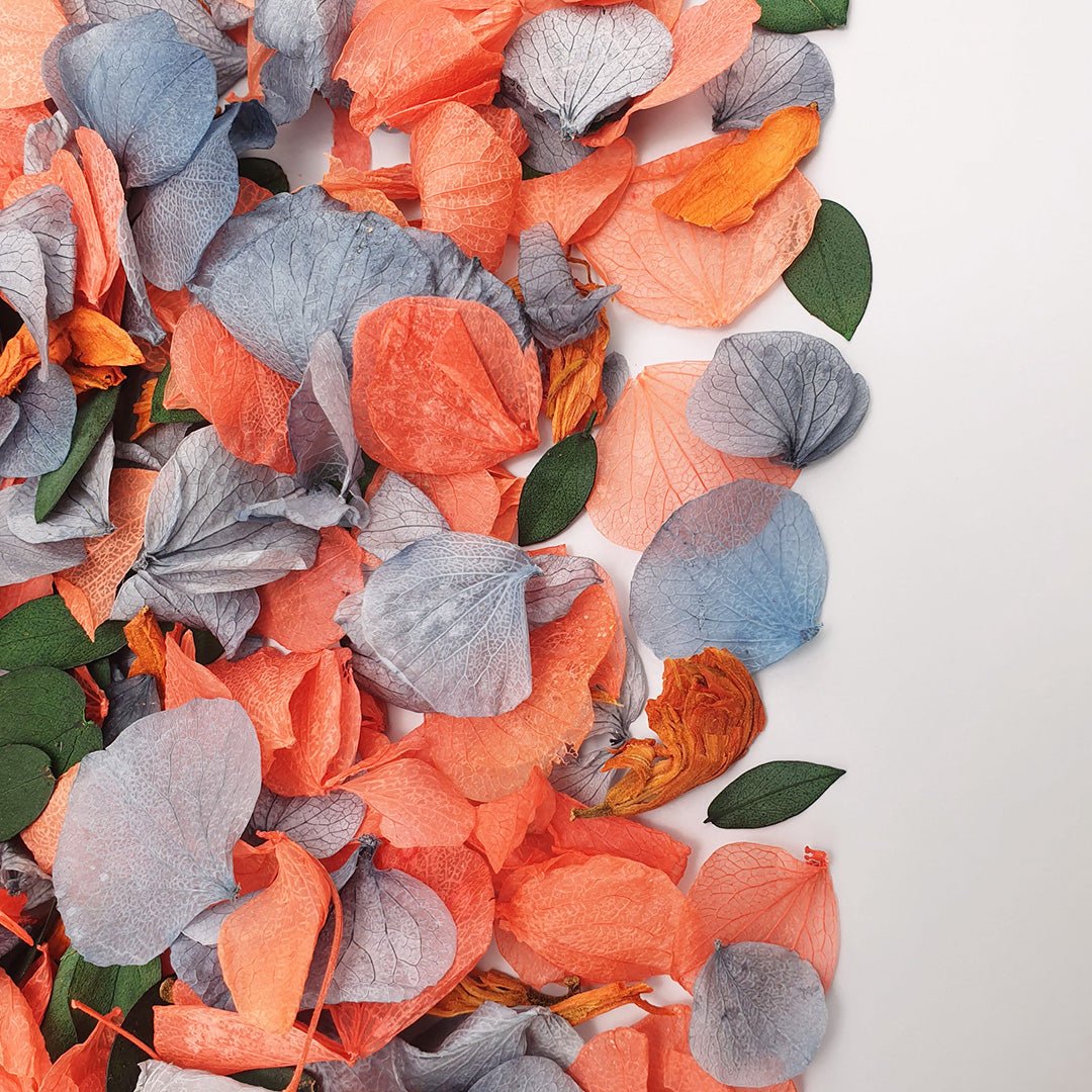 Earth, Wind & Fire Confetti | Wedding Confetti | Confetti Bee