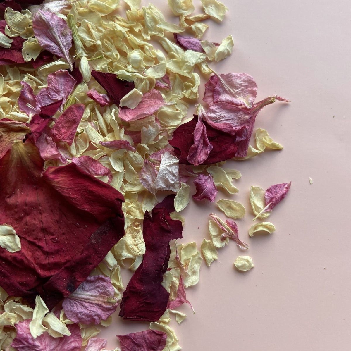 Enchanted Confetti | Petal Wedding Confetti | Confetti Bee