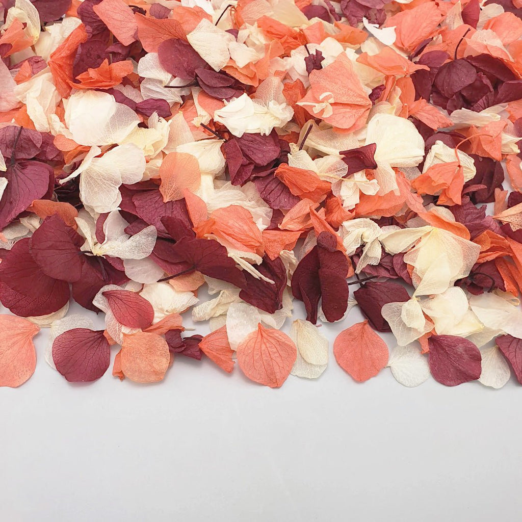 100% Biodegradable Wedding Confetti from Confetti Bee - Natural Petals