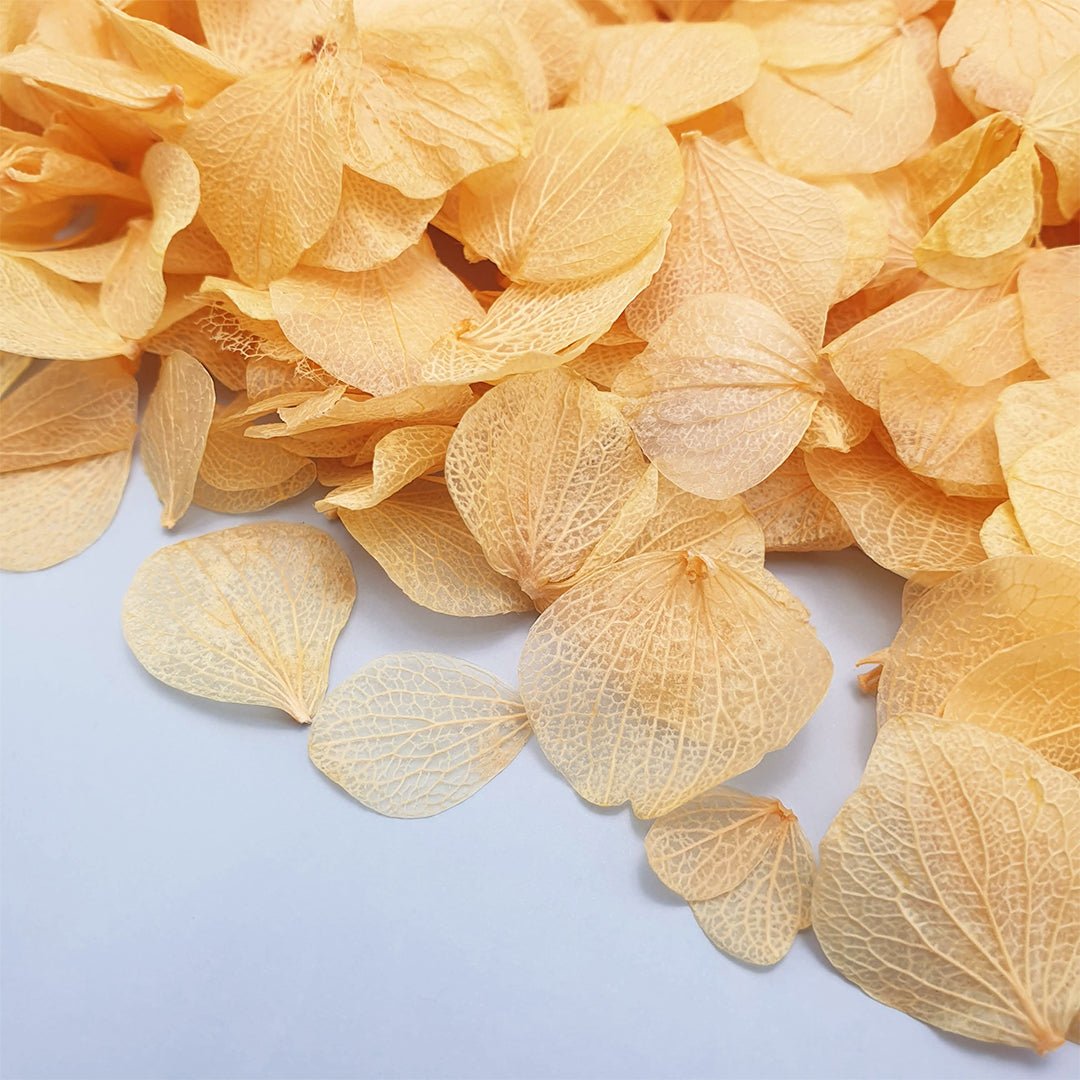 Golden Hydrangea Petal Confetti | Wedding Confetti | Confetti Bee