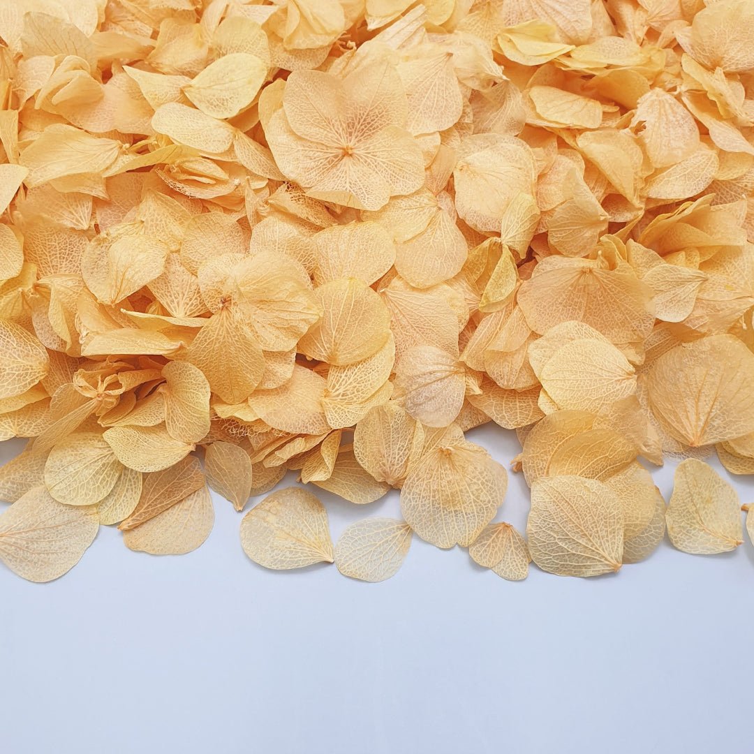Golden Hydrangea Petal Confetti | Wedding Confetti | Confetti Bee