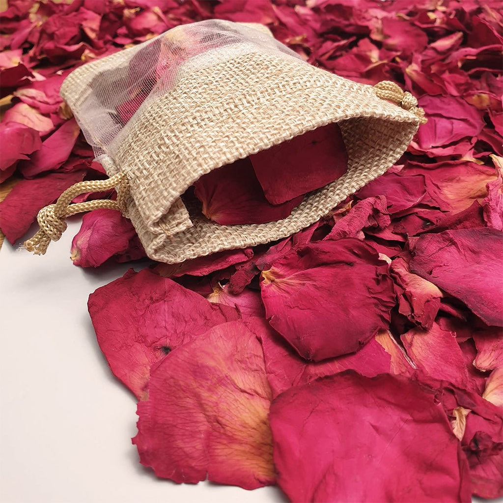 Large Rose Petal Confetti | Wedding Confetti | Confetti Bee