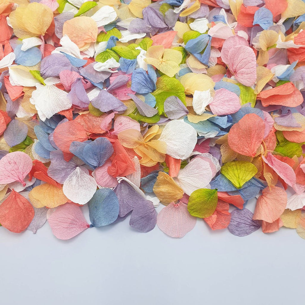 100% Biodegradable Wedding Confetti from Confetti Bee - Natural Petals