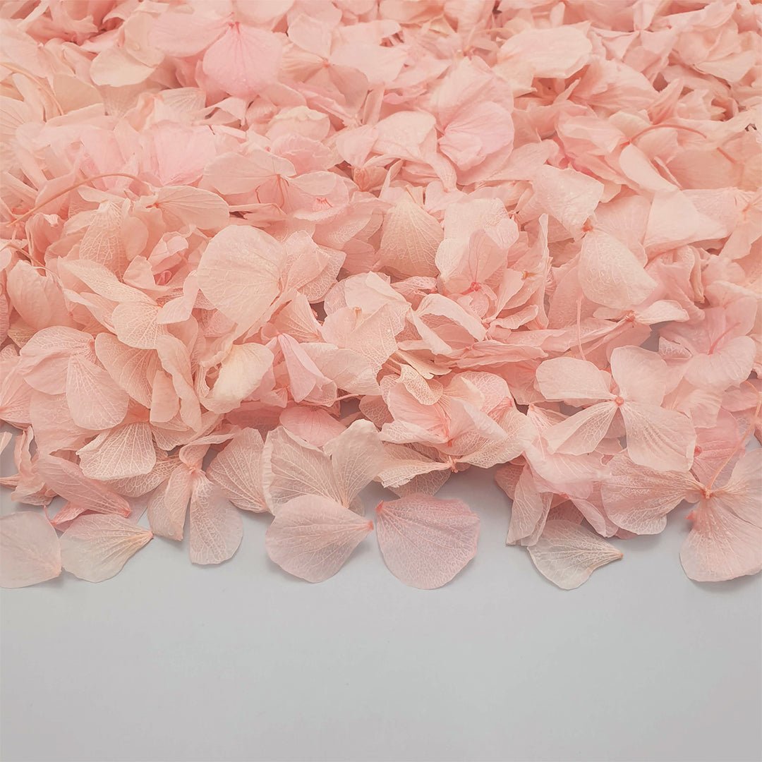 Pink Hydrangea Petals | Wedding Confetti | Confetti Bee