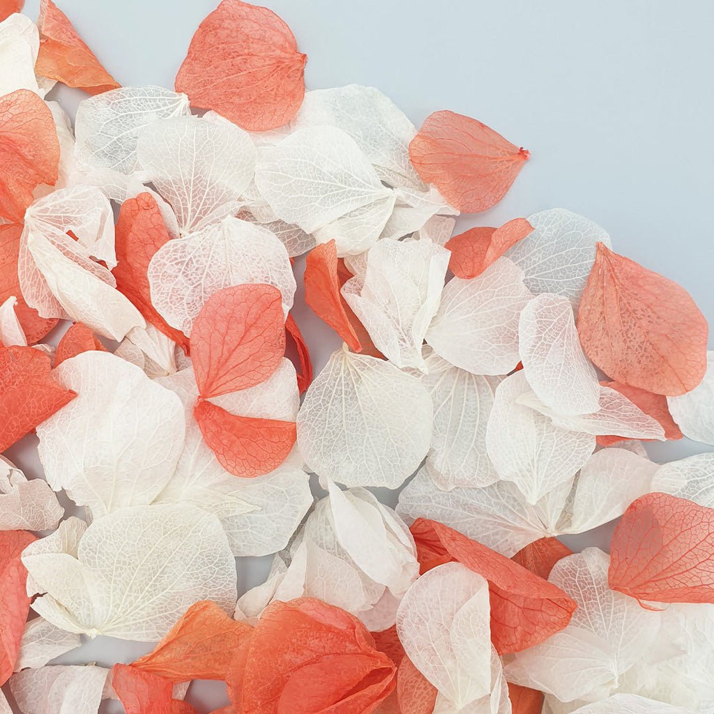 Saffron Sunset Confetti | Natural Wedding Confetti | Confetti Bee