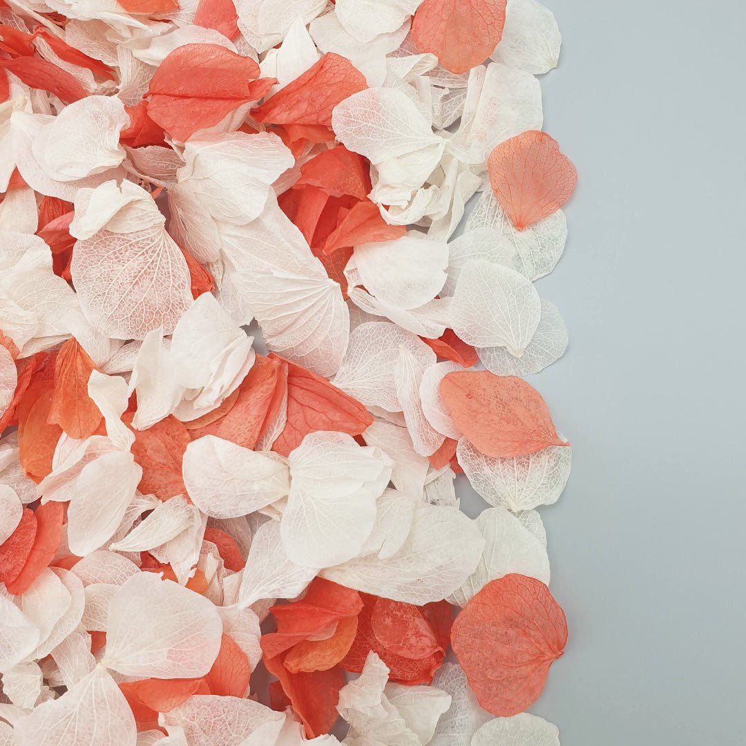 Saffron Sunset Confetti | Natural Wedding Confetti | Confetti Bee